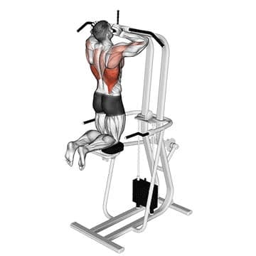 Assisted Pull-Up - How To, Muscles Worked, Form Cues, Variations | Pumpd