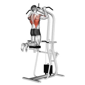 Cable Seated Row - How To, Muscles Worked, Form Cues, Variations | Pumpd