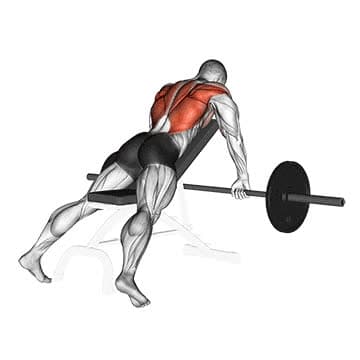 Smith Machine Bent Over Row - How To, Muscles Worked, Form Cues ...