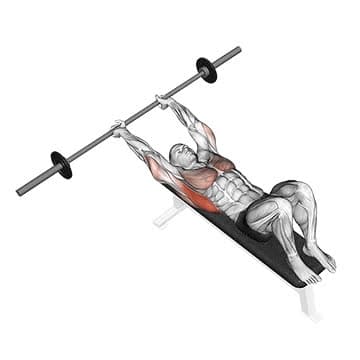 Smith Machine Bent Over Row - How To, Muscles Worked, Form Cues ...