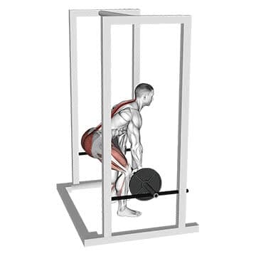 Band Seated Hip Internal Rotation - How To, Muscles Worked, Form Cues ...