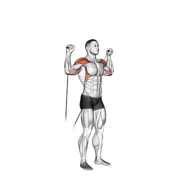 Cable Front Raise - How To, Muscles Worked, Form Cues, Variations | Pumpd