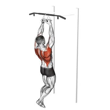 Back Lever - How To, Muscles Worked, Form Cues, Variations | Pumpd