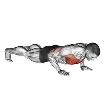Archer Push-Up - How To, Muscles Worked, Form Cues, Variations | Pumpd