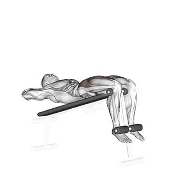 Decline Crunch - How To, Muscles Worked, Form Cues, Variations | Pumpd