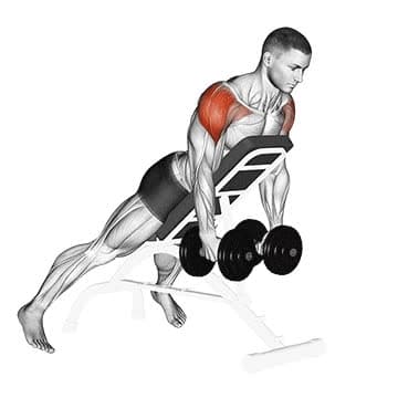 Dumbbell Incline Y-Raise - How To, Muscles Worked, Form Cues ...