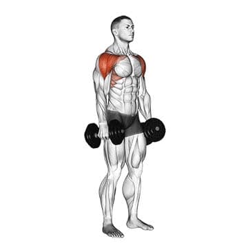 Dumbbell Lateral Raise - How To, Muscles Worked, Form Cues, Variations ...