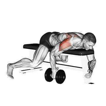Dumbbell Incline Y-Raise - How To, Muscles Worked, Form Cues ...