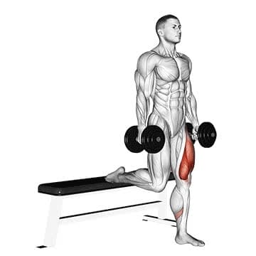 Dumbbell Step-Up - How To, Muscles Worked, Form Cues, Variations | Pumpd