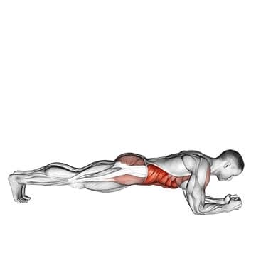 Elbow To Knee - How To, Muscles Worked, Form Cues, Variations | Pumpd