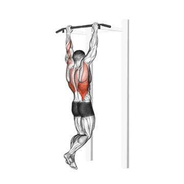 Back Lever - How To, Muscles Worked, Form Cues, Variations | Pumpd