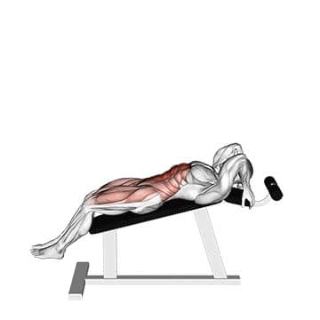 Curl-Up - How To, Muscles Worked, Form Cues, Variations | Pumpd