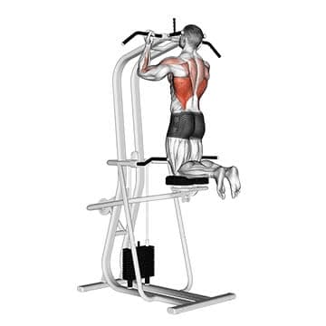 Assisted Pull-Up - How To, Muscles Worked, Form Cues, Variations | Pumpd