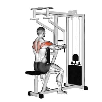 Cable Front Raise - How To, Muscles Worked, Form Cues, Variations | Pumpd