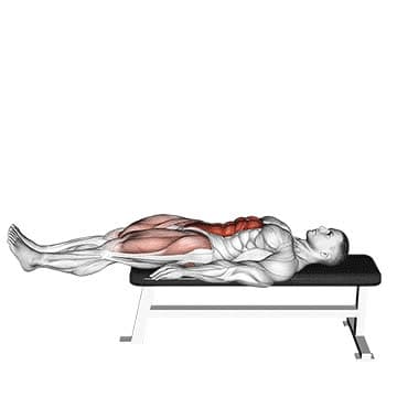 Decline Crunch - How To, Muscles Worked, Form Cues, Variations | Pumpd