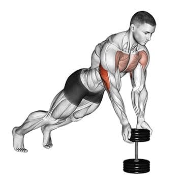 Archer Push-Up - How To, Muscles Worked, Form Cues, Variations | Pumpd