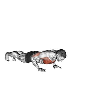 Handstand Push-Up - How To, Muscles Worked, Form Cues, Variations | Pumpd
