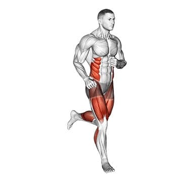 Monster Walk - How To, Muscles Worked, Form Cues, Variations | Pumpd