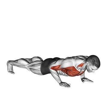 Clap Push-Up - How To, Muscles Worked, Form Cues, Variations | Pumpd
