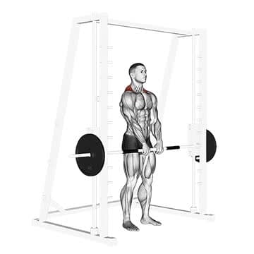 Dumbbell Shrug - How To, Muscles Worked, Form Cues, Variations | Pumpd