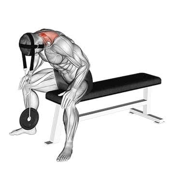 Chin Tuck - How To, Muscles Worked, Form Cues, Variations | Pumpd