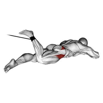 Band Seated Hip Internal Rotation - How To, Muscles Worked, Form Cues ...