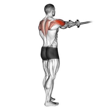 Dumbbell Incline Y-Raise - How To, Muscles Worked, Form Cues ...