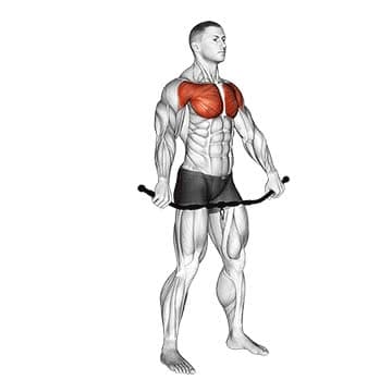 Dynamic Chest Stretch - How To, Muscles Worked, Form Cues, Variations ...