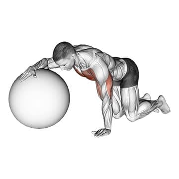 Dynamic Chest Stretch - How To, Muscles Worked, Form Cues, Variations ...
