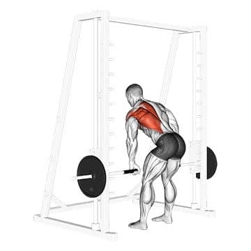 Smith Machine Bent Over Row - How To, Muscles Worked, Form Cues ...