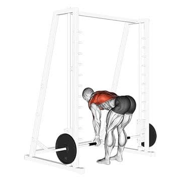 Smith Machine Bent Over Row - How To, Muscles Worked, Form Cues ...