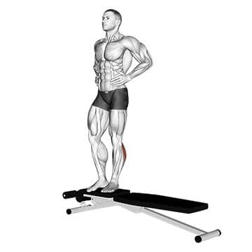 Single Leg Vertical Jump - How To, Muscles Worked, Form Cues ...