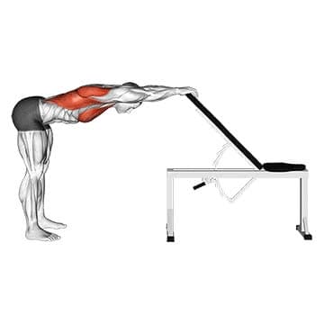 Dynamic Chest Stretch - How To, Muscles Worked, Form Cues, Variations ...