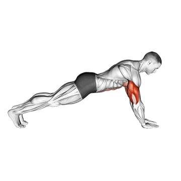 Diamond Push-Up - How To, Muscles Worked, Form Cues, Variations | Pumpd