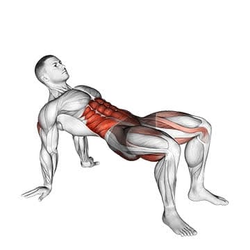 Bear Crawl - How To, Muscles Worked, Form Cues, Variations | Pumpd