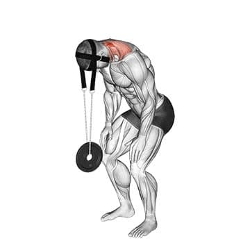 Chin Tuck - How To, Muscles Worked, Form Cues, Variations | Pumpd