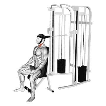 Chin Tuck - How To, Muscles Worked, Form Cues, Variations | Pumpd