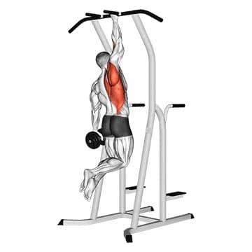 Dumbbell Incline Row - How To, Muscles Worked, Form Cues, Variations ...