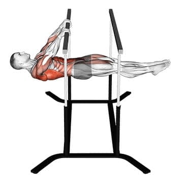 Back Lever - How To, Muscles Worked, Form Cues, Variations | Pumpd