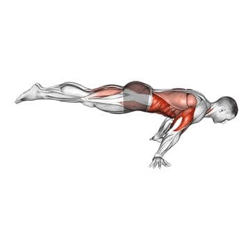Archer Push-Up - How To, Muscles Worked, Form Cues, Variations | Pumpd